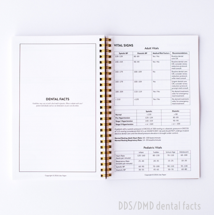 Notebook w/ PERSONALIZATION + DENTAL FACTS – Lilac Paper